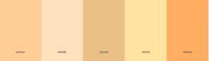 Skin Color Code : For all Skin tone color types