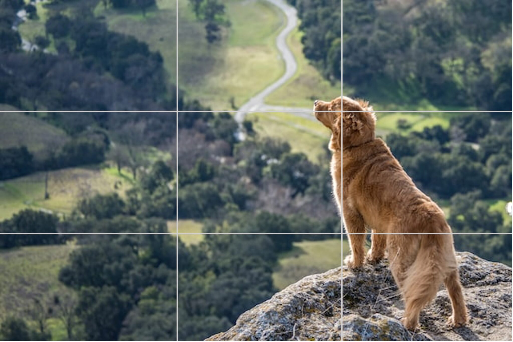 Rule of Thirds In Photography : Definition and How to Use